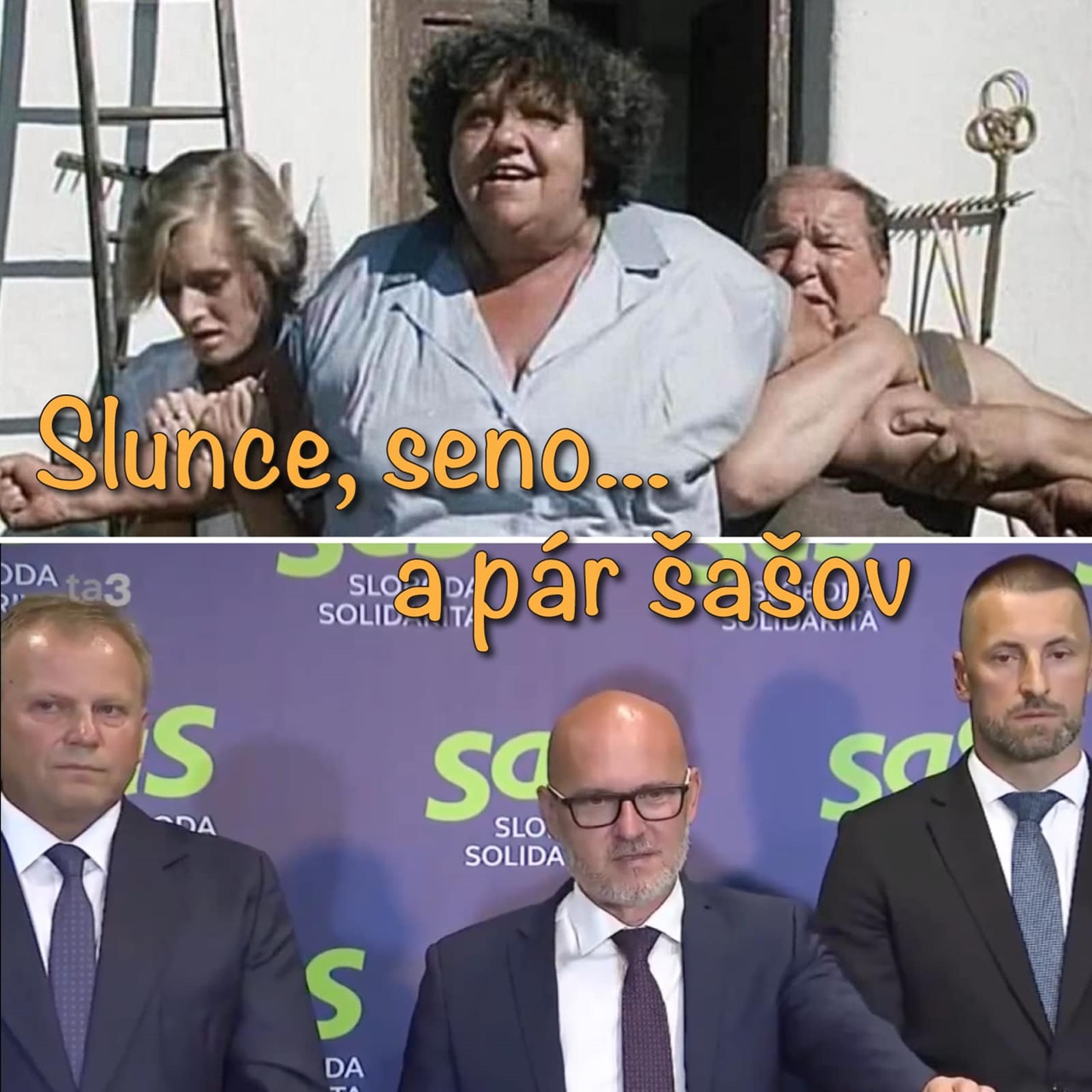 Slunce, seno a pár šašov