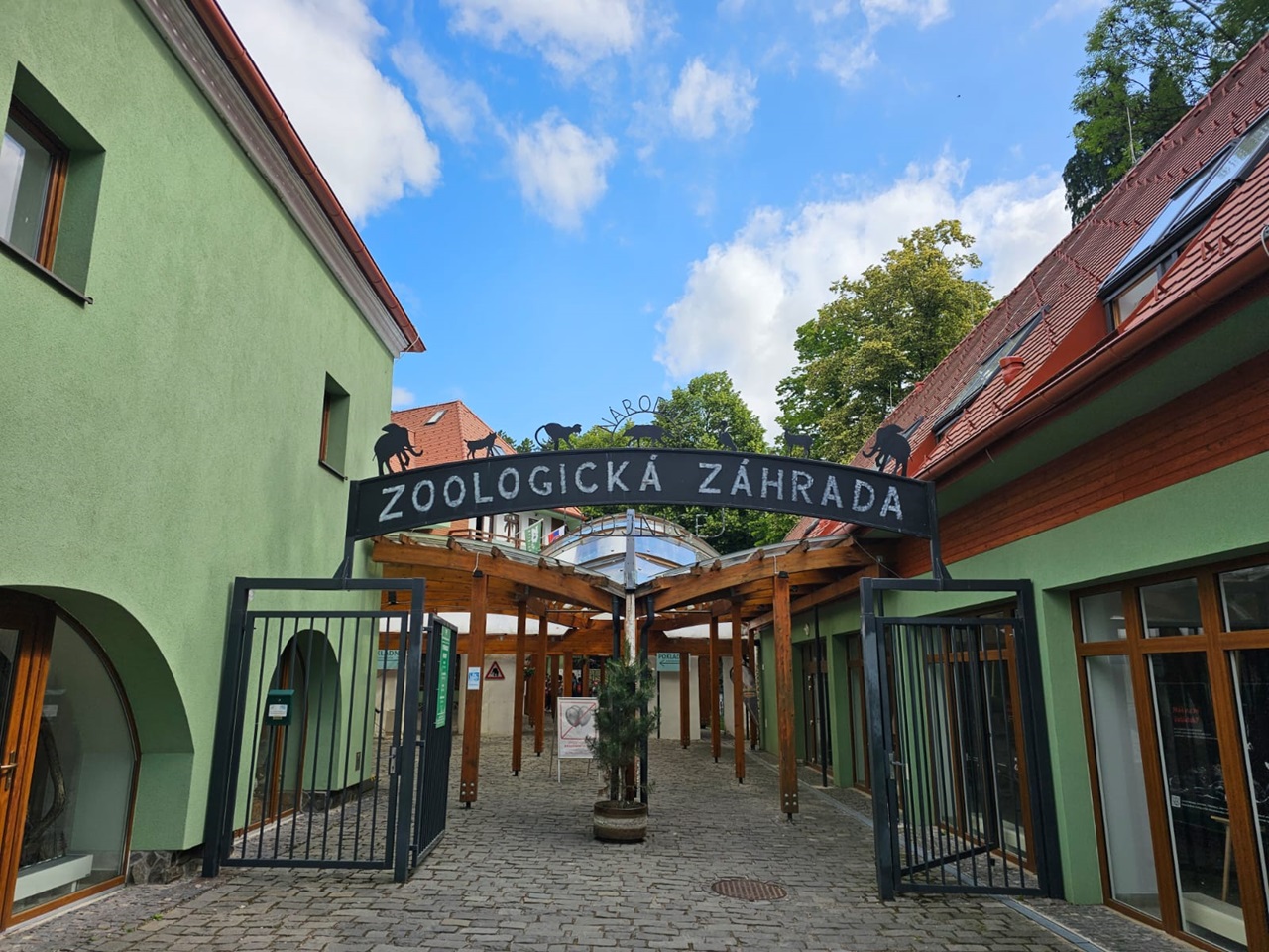 Stádo antilop dikdika Kirkovho v bojnickej zoo sa rozrástlo o ďalšie mláďa